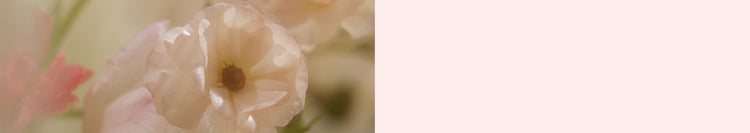 Flower Knows® Official Site | Live your fairytales – Flower Knows